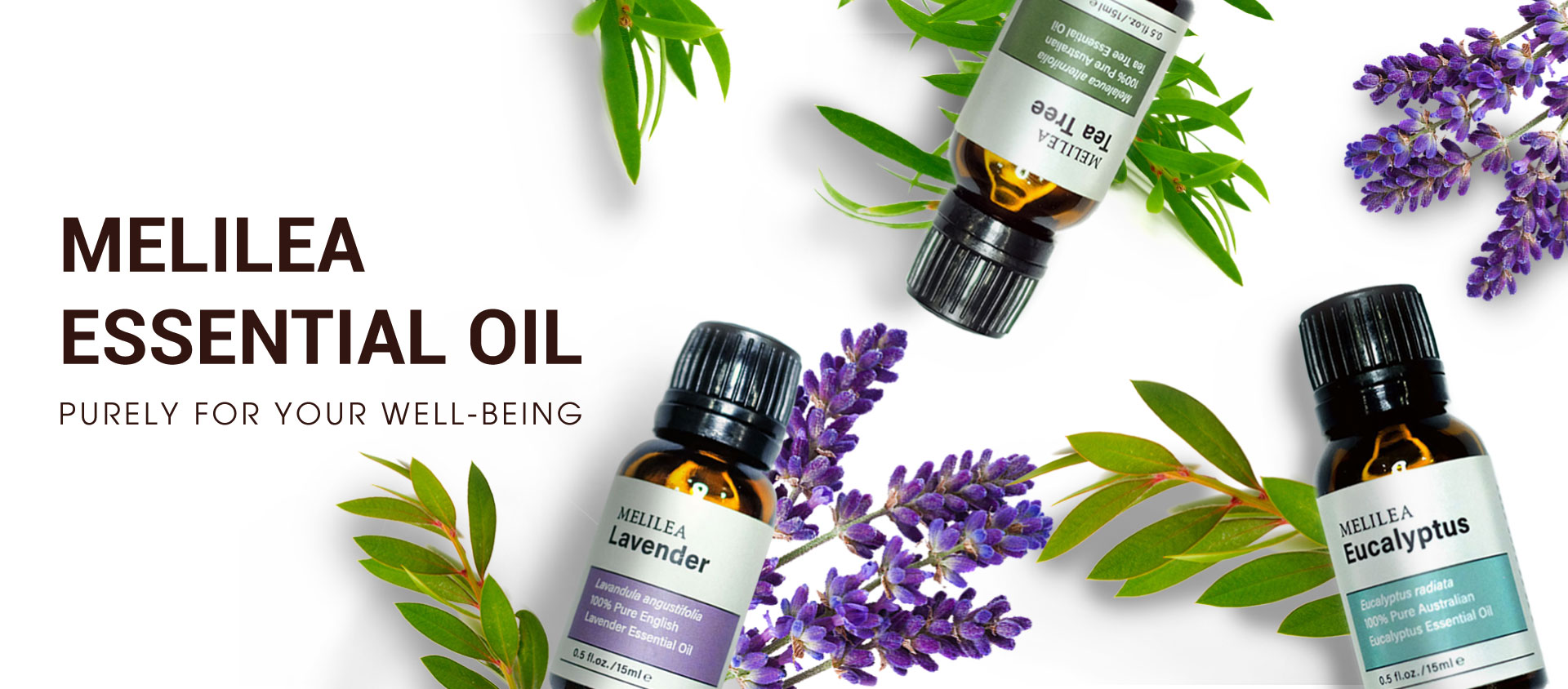 MELILEA Essential Oil – MELILEA Singapore